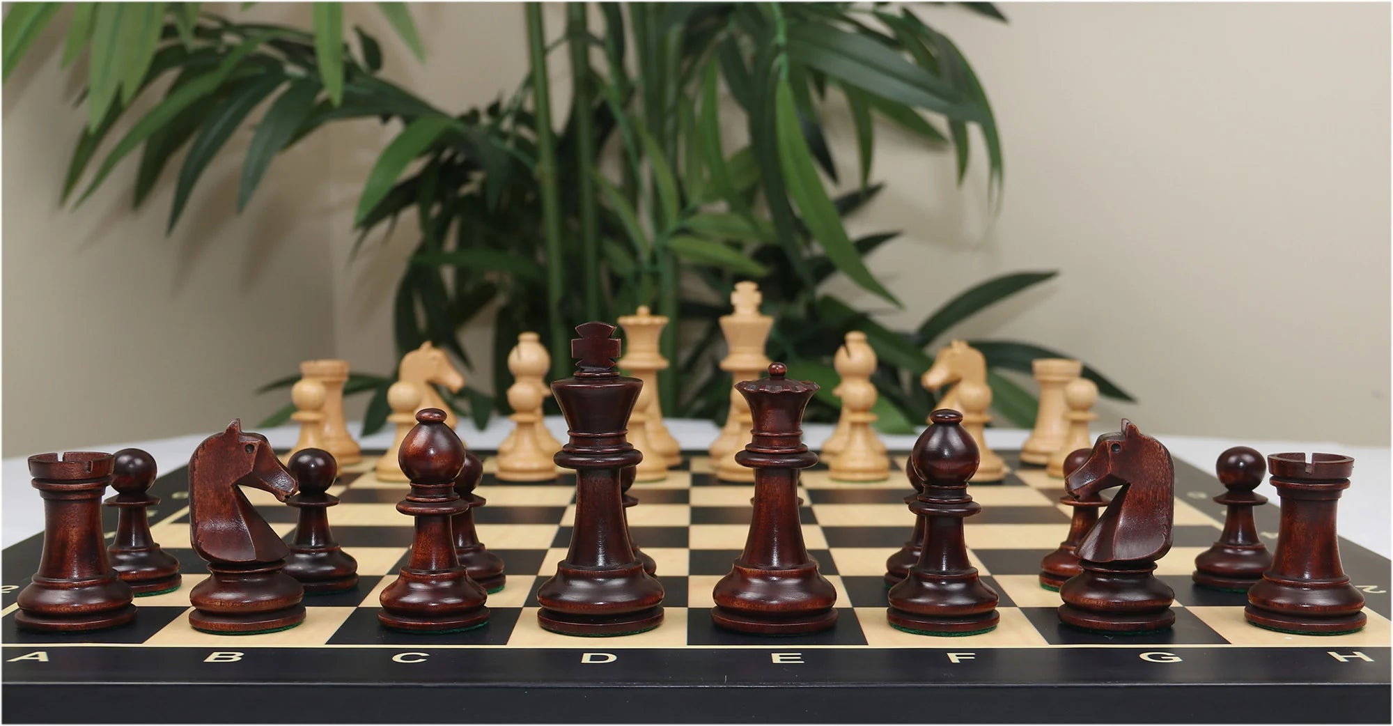 HOW TO UNDERSTAND CHESS RATINGS – Staunton Castle