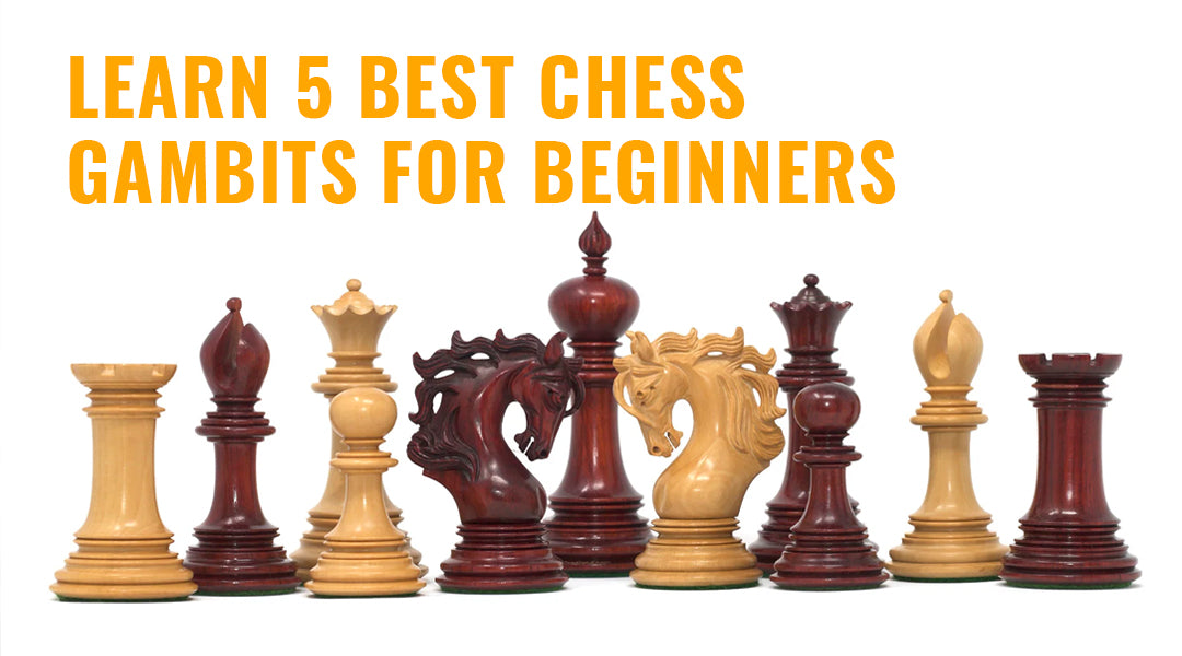 LEARN 5 BEST CHESS GAMBITS FOR BEGINNERS – Staunton Castle